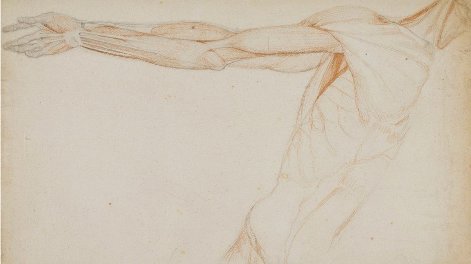 Saturday Sketch Club: anatomy drawing | Article | Royal Academy of Arts