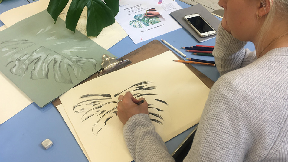 Saturday Sketch Club: Drawing Plants | Event | Royal Academy of Arts