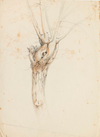 James Bateman | Artist | Royal Academy of Arts