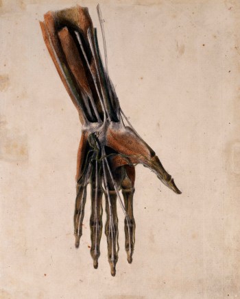 Benjamin Robert Haydon | Artist | Royal Academy of Arts