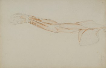 John Flaxman | Artist | Royal Academy of Arts