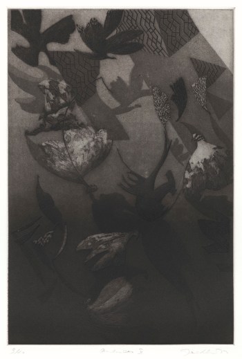 Bill Jacklin | Artist | Royal Academy of Arts