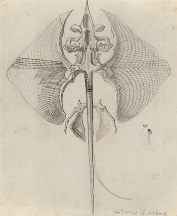 Jacob Schijnvoet | Artist | Royal Academy of Arts