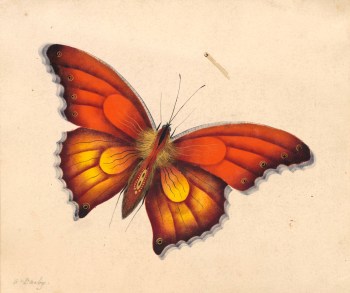 A. Darby | Artist | Royal Academy of Arts