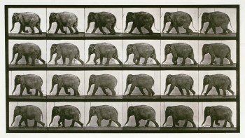 Eadweard Muybridge | Artist | Royal Academy of Arts