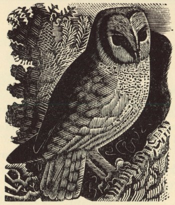 Eric Ravilious | Artist | Royal Academy of Arts