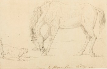 John Hayter | Artist | Royal Academy of Arts