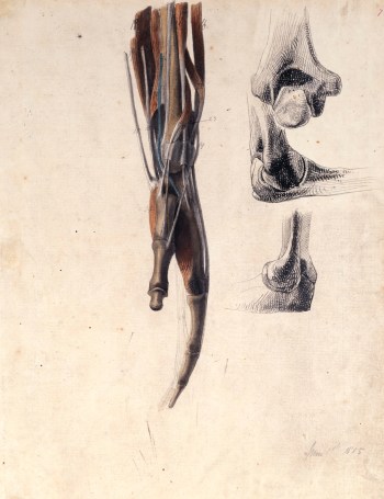 Benjamin Robert Haydon | Artist | Royal Academy of Arts