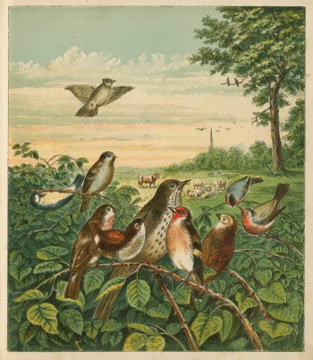 Henry Stannard | Artist | Royal Academy of Arts