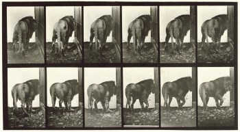 Eadweard Muybridge | Artist | Royal Academy of Arts
