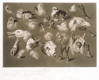 James Ward | Artist | Royal Academy of Arts