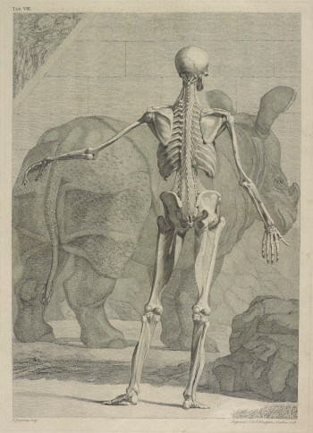 John Knapton | Artist | Royal Academy of Arts