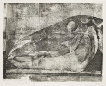 Peter Freeth | Artist | Royal Academy of Arts