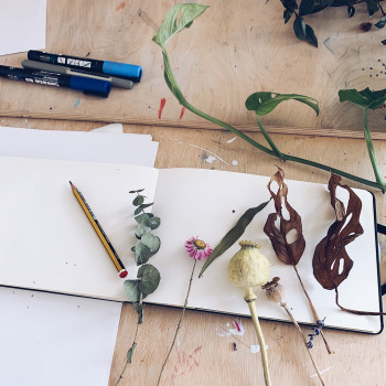 Creative tips for botanical drawing | Blog | Royal Academy of Arts