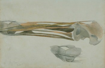 Benjamin Robert Haydon | Artist | Royal Academy of Arts