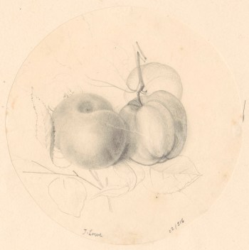 James Lowe | Artist | Royal Academy of Arts