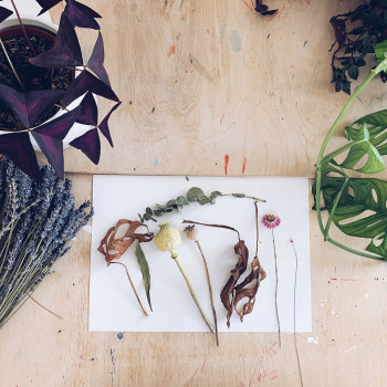 Creative tips for botanical drawing | Blog | Royal Academy of Arts