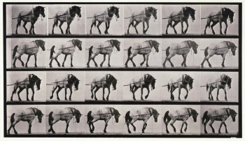 Eadweard Muybridge | Artist | Royal Academy of Arts