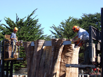 David Nash | Artist | Royal Academy of Arts