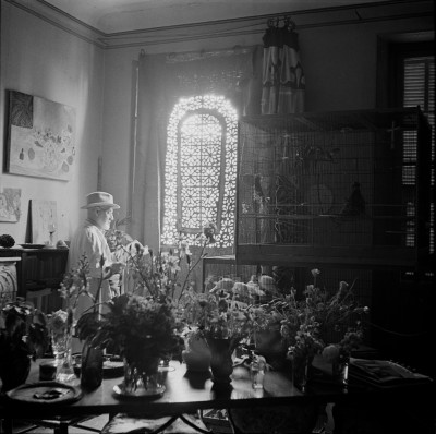 Six secrets from Matisse's studio | Blog | Royal Academy of Arts