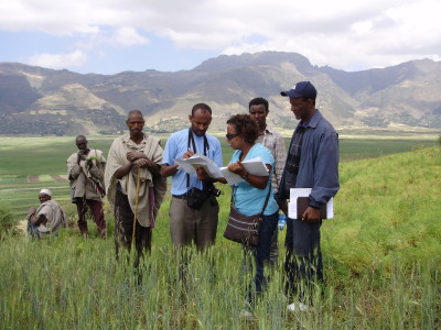 Five architects to know: meet the shortlist of the RA Dorfman Award ...