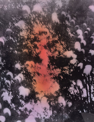 Anna Higgins | Artist | Royal Academy of Arts