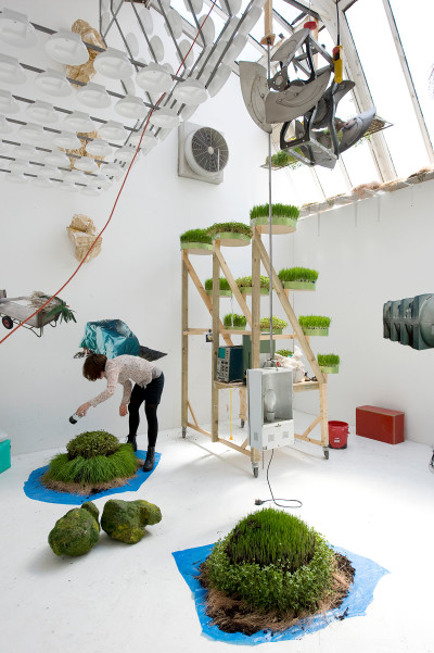 Rachael Champion | Artist | Royal Academy of Arts