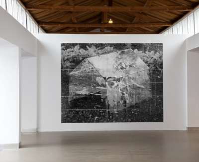 Helen Sear | Artist | Royal Academy of Arts