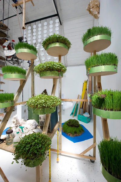 Rachael Champion | Artist | Royal Academy of Arts