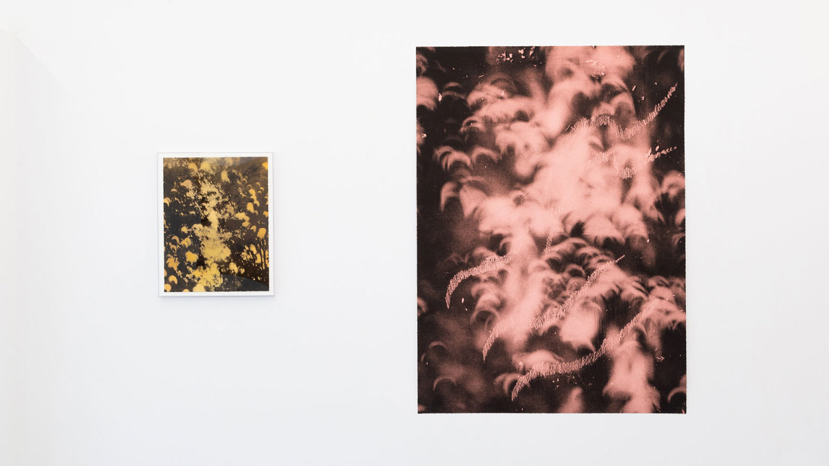 Anna Higgins | Artist | Royal Academy of Arts