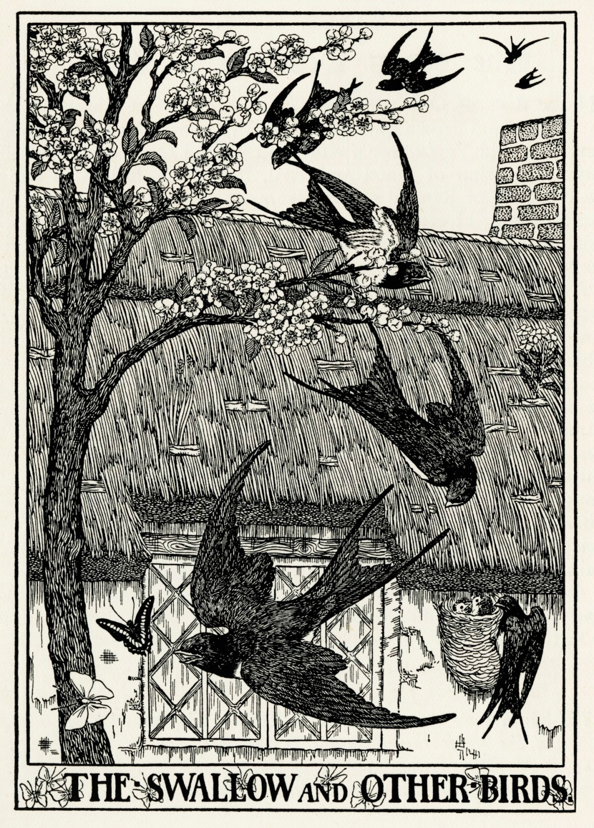 The Swallow and Other Birds | Works of Art | RA Collection | Royal ...