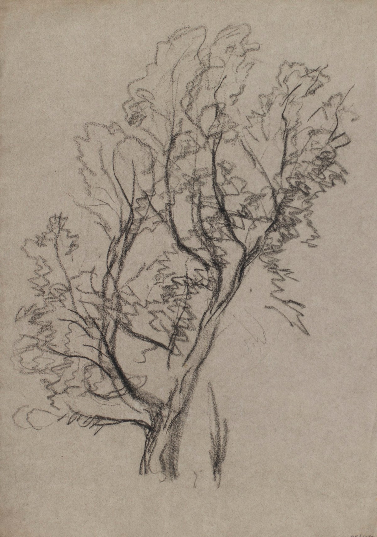Study of a hedgerow | Works of Art | RA Collection | Royal Academy of Arts