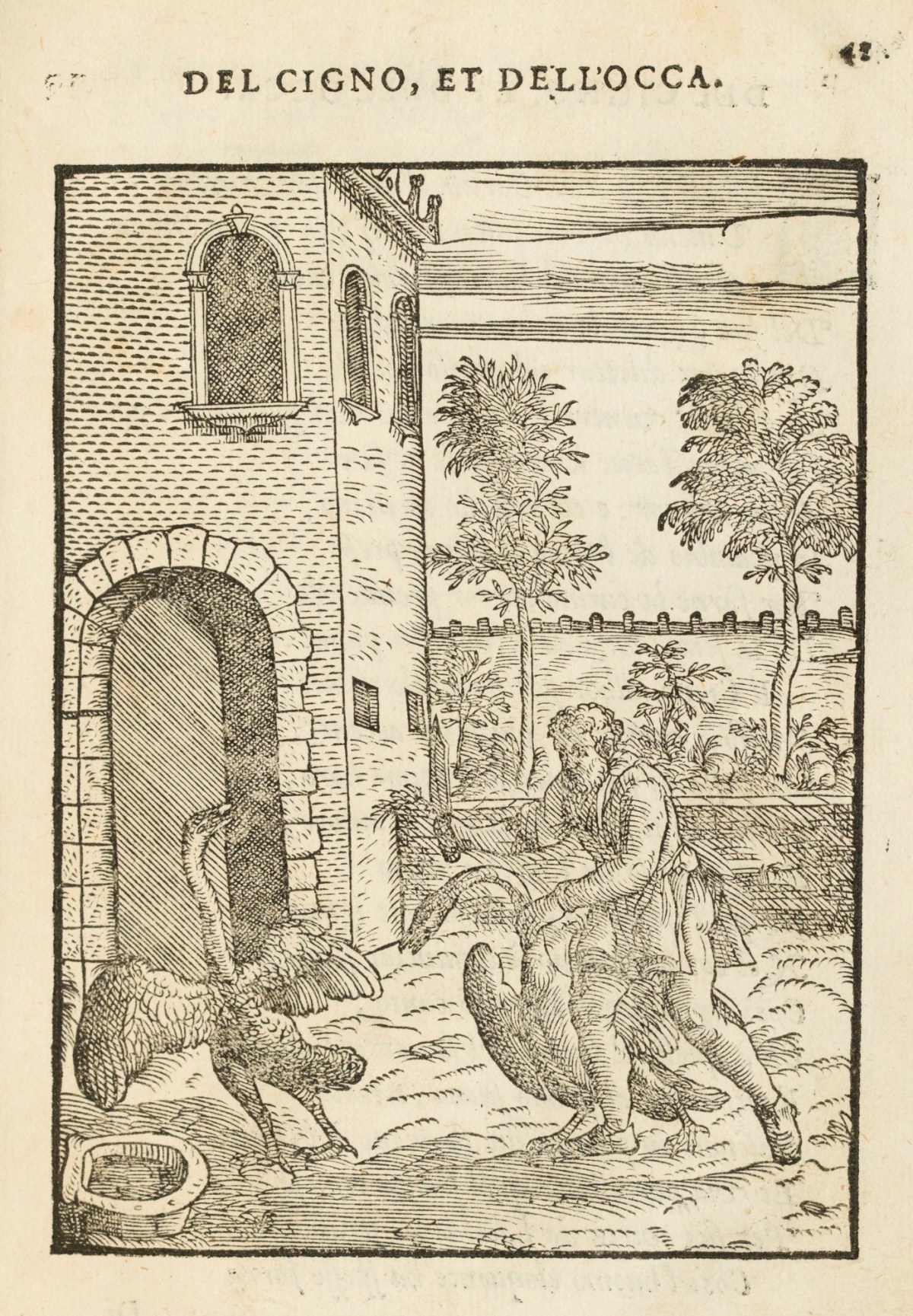 The Swan and the Goose | Works of Art | RA Collection | Royal Academy ...