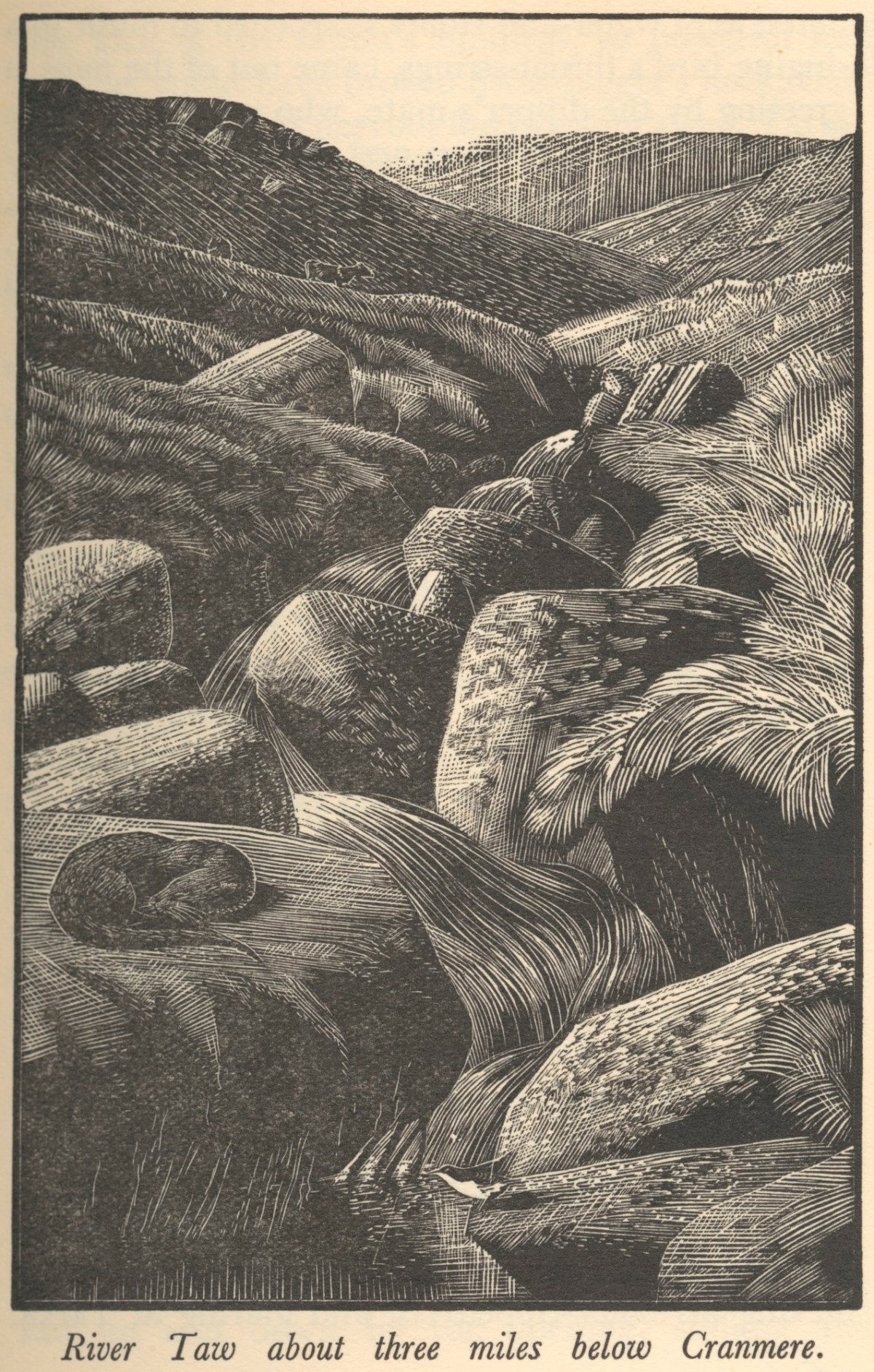 River Taw about three miles below Cranmere. | Works of Art | RA ...