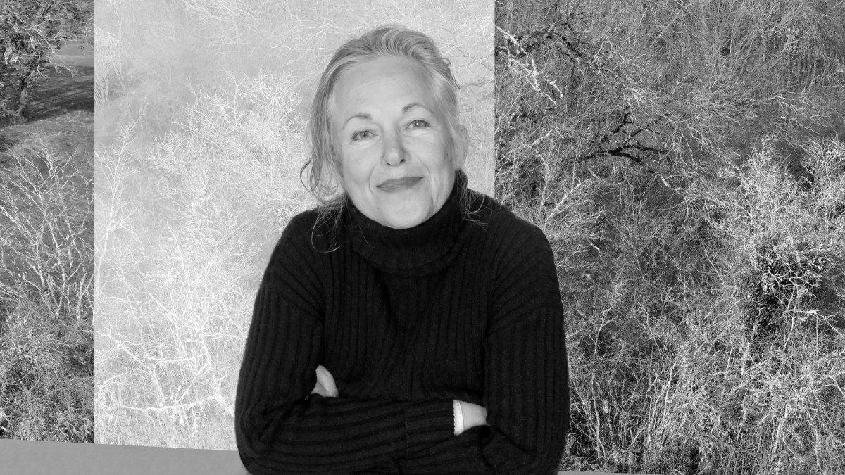 Helen Sear | Artist | Royal Academy of Arts