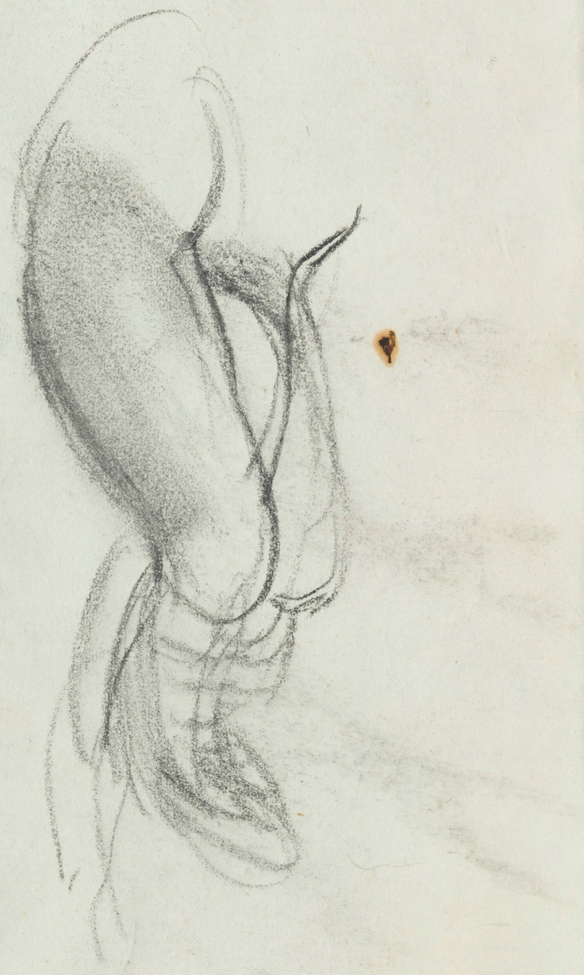 Study of Dorothy Hutton and objects | Works of Art | RA Collection ...