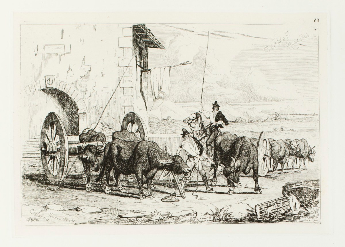 'Yoking buffaloes, Pontine Marshes.' | Works of Art | RA Collection ...