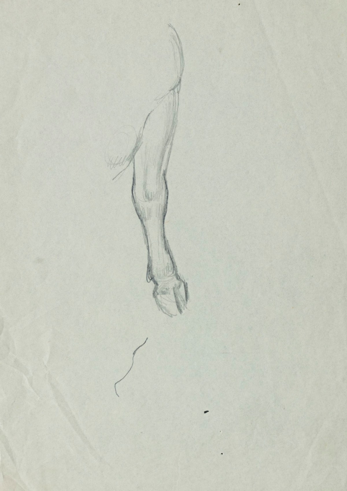 how to draw bull leg