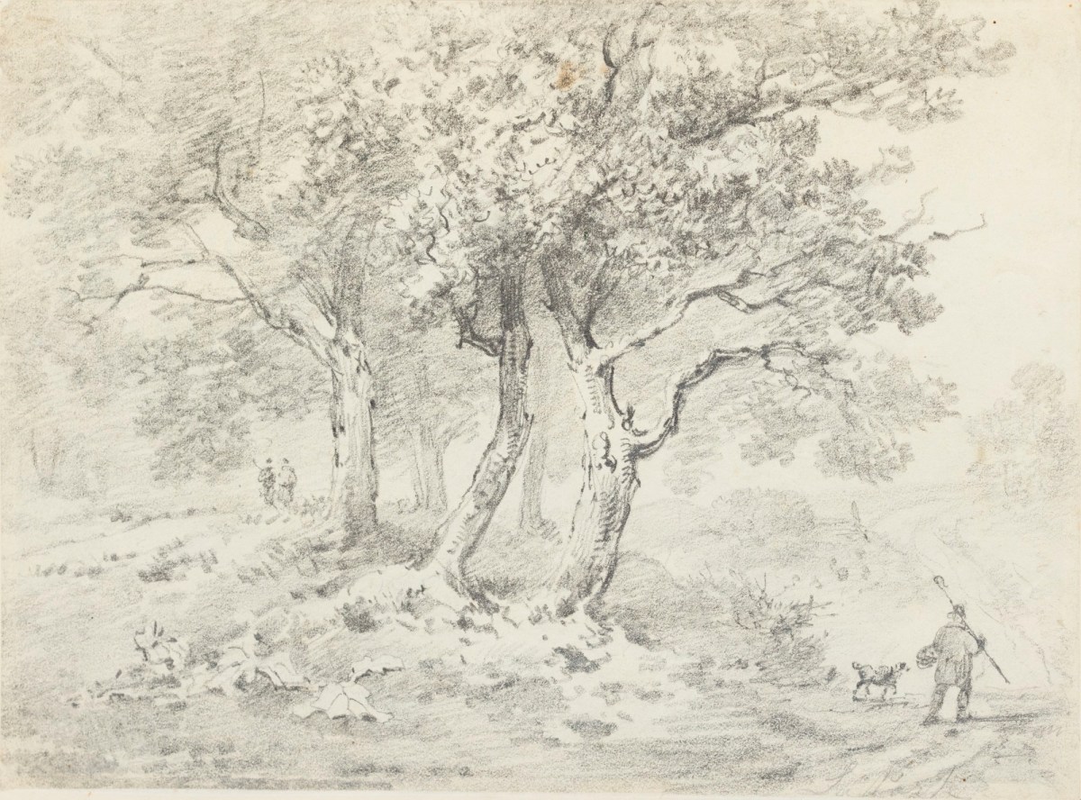Study of trees | Works of Art | RA Collection | Royal Academy of Arts