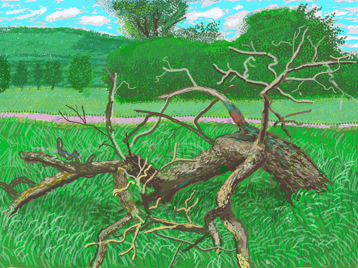 David Hockney: The Arrival of Spring, Normandy, 2020 | Exhibition ...