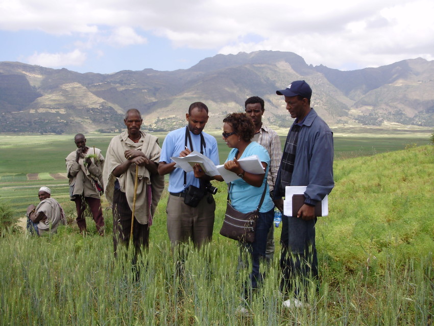 Five architects to know: meet the shortlist of the RA Dorfman Award ...