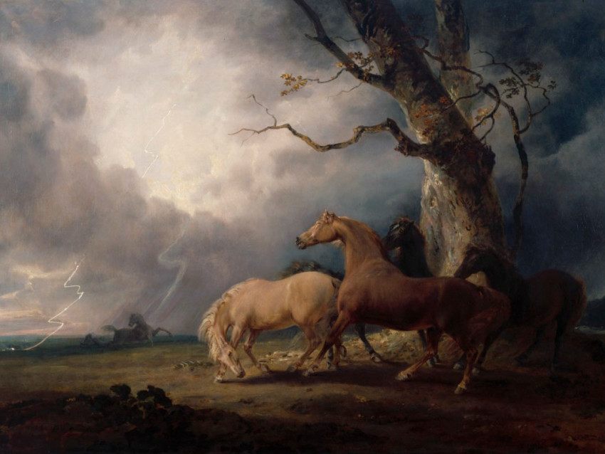 Storytelling | Royal Academy of Arts