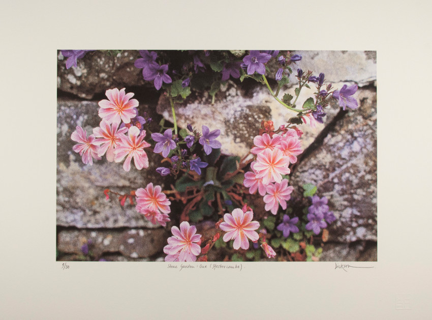 Multiple Thoughts | Exhibition | Royal Academy of Arts