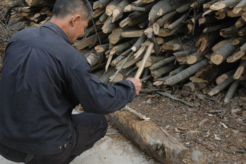 Meet the architects: Li Xiaodong | Article | Royal Academy of Arts