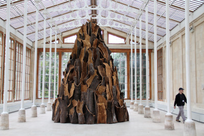 David Nash | Artist | Royal Academy of Arts
