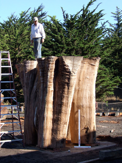David Nash | Artist | Royal Academy of Arts