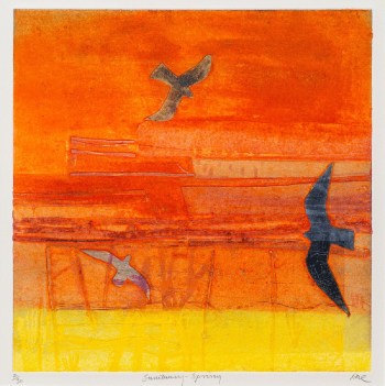 Barbara Rae | Artist | Royal Academy of Arts